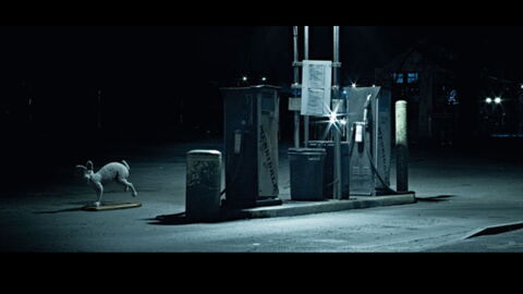 Découvrez les Crochetdermy de Shauna Richardson en images