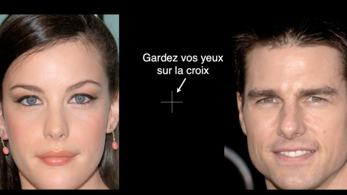 Grâce à une illusion d'optique, découvrez les stars avec un visage ...
