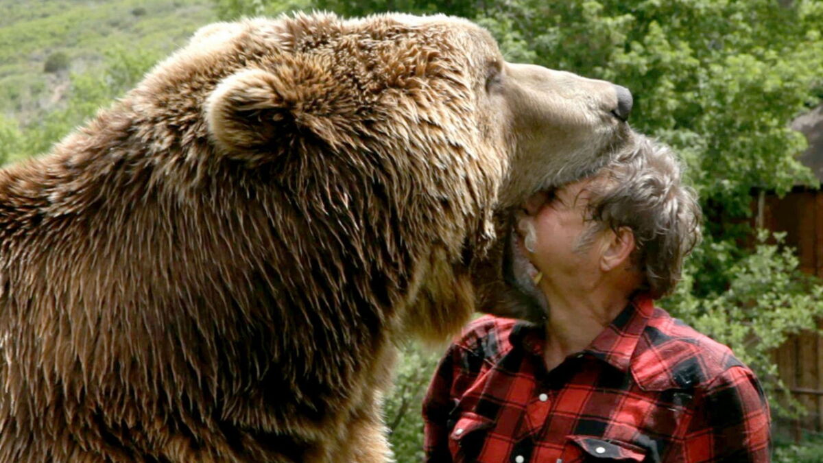 L'incroyable histoire de Doug Seus, l'homme qui vit avec trois ours à ...