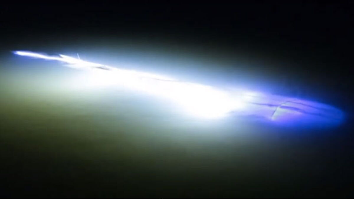L'apparition d'une créature lumineuse dans les eaux du port de Bristol ...