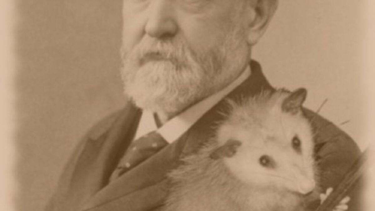 Photos : Tous ces animaux atypiques ont un jour vécu à la Maison-Blanche