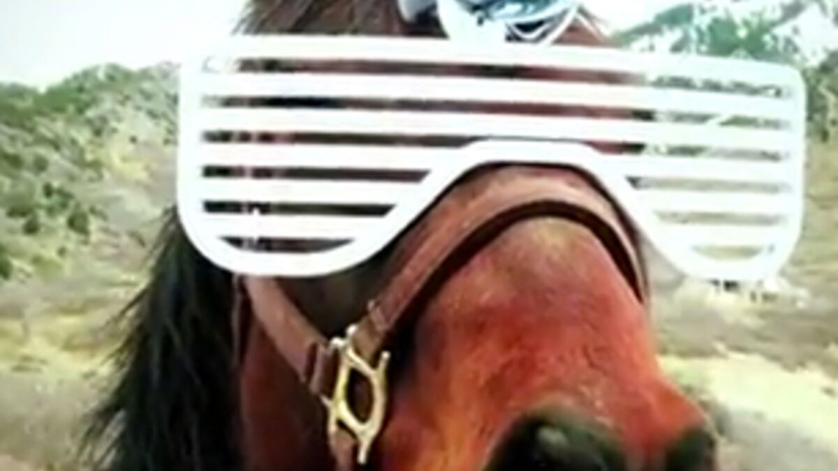 Pimp my Horse, la customisation WTF d’un cheval