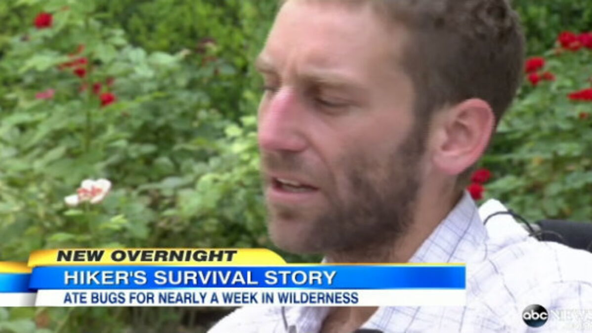 Un randonneur coincé en montagne survit en mangeant des insectes