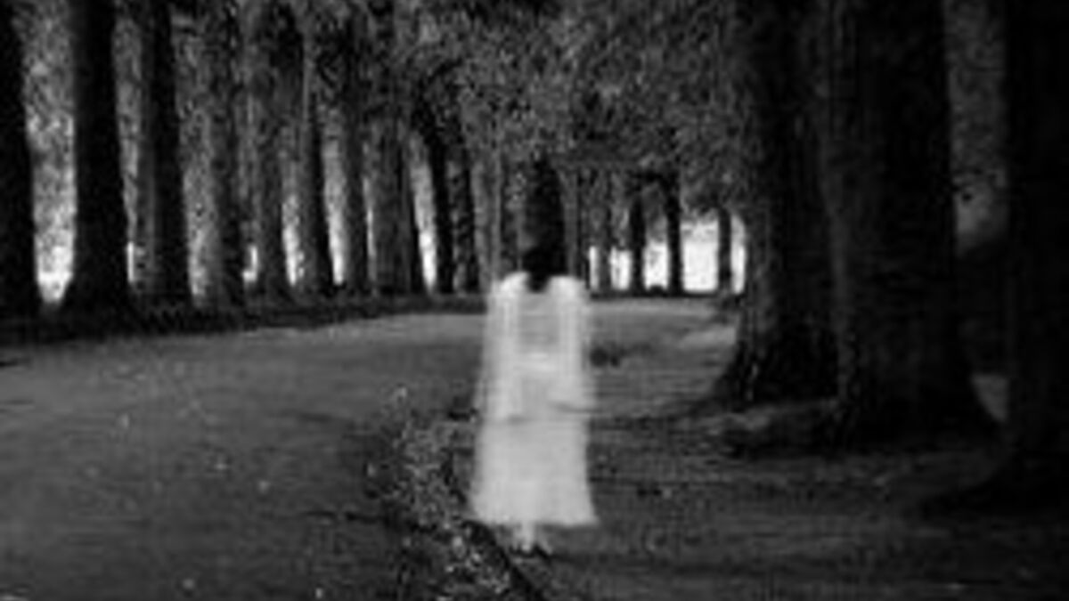La Dame Blanche, le fantôme terrifiant du bord des routes