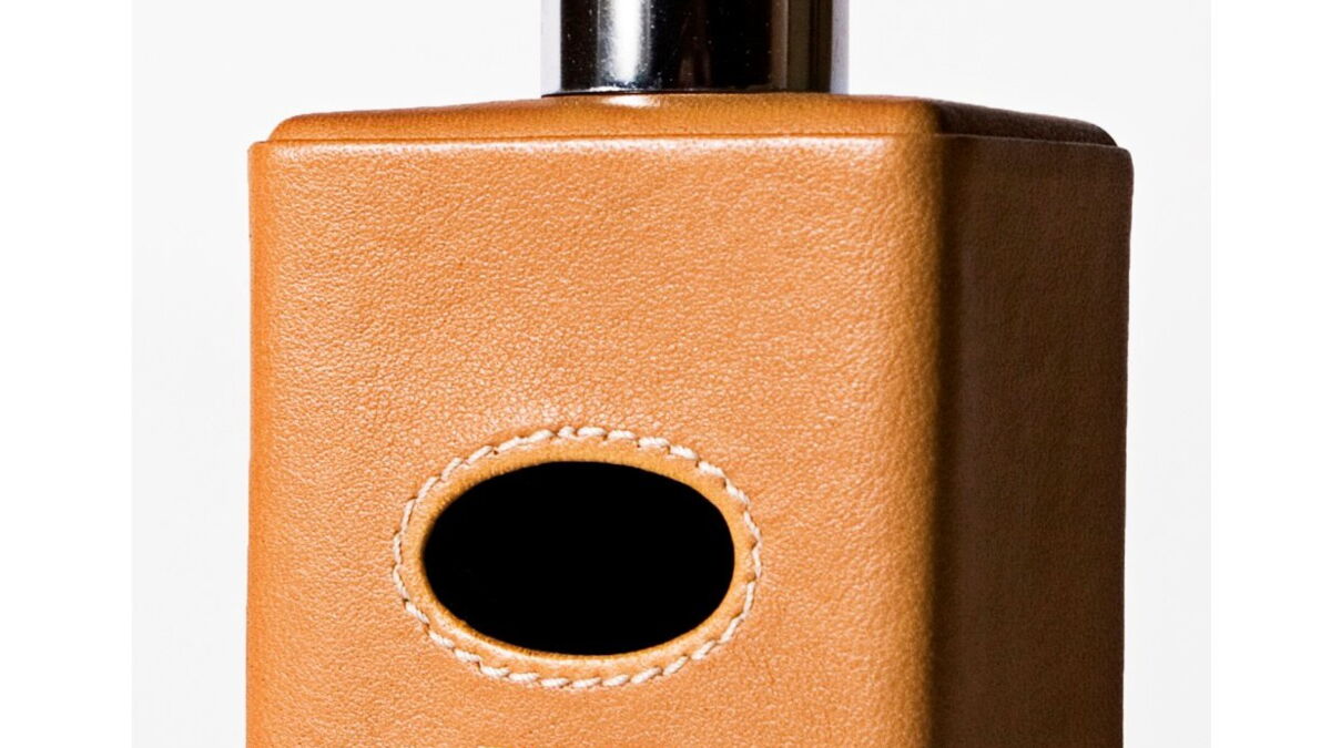 Cuir Tabac : L'insolence du soir de David Jourquin