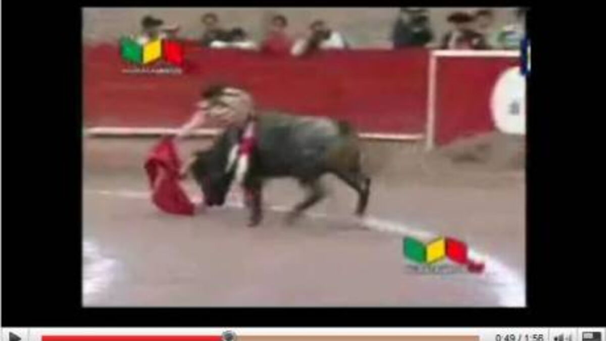 Découvrez Michelito, le plus jeune novillero