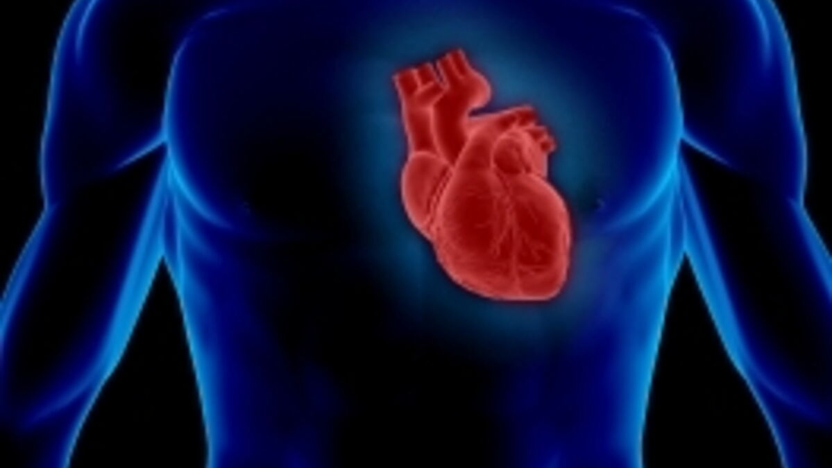 Votre coeur pourrait bientôt remplacer les piles