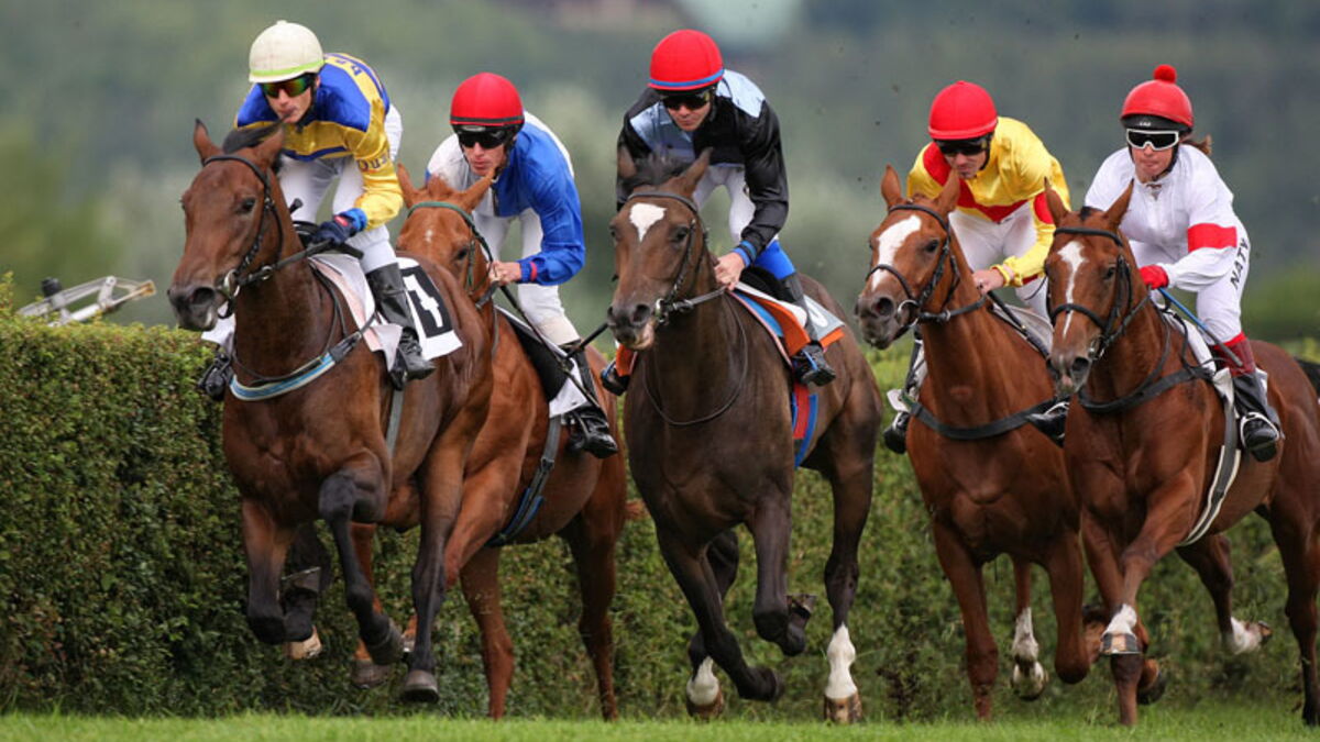 Résultat Quinté du jour : découvrez l'arrivée du 21 avril 2017