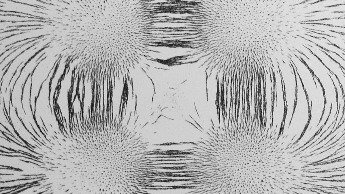 Découvrez les oeuvres magnétiques de Ling Meng