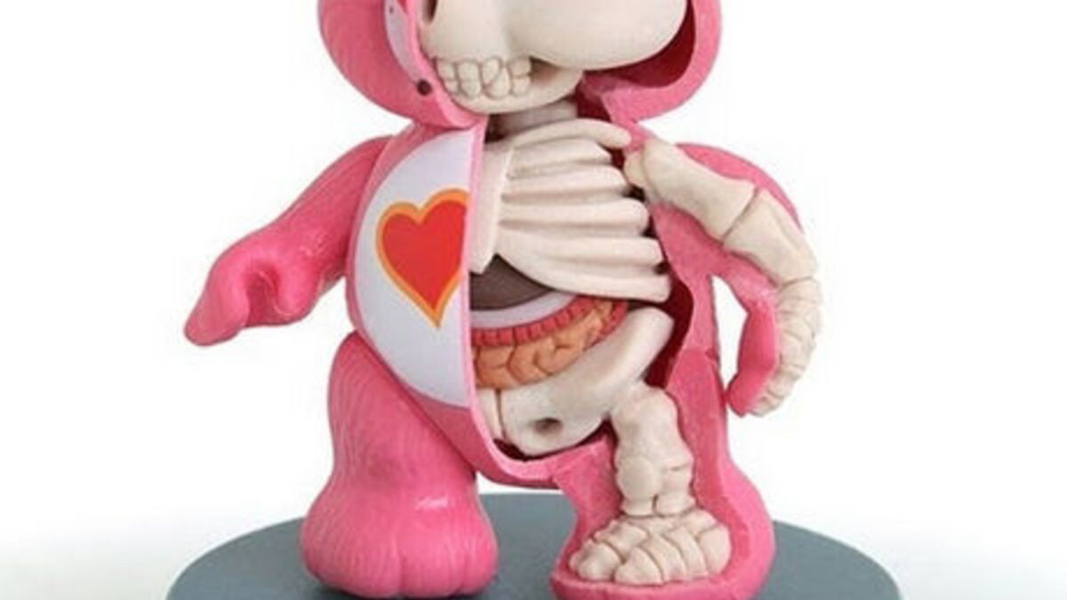 Les personnages de la Pop Culture dévoilent leur anatomie