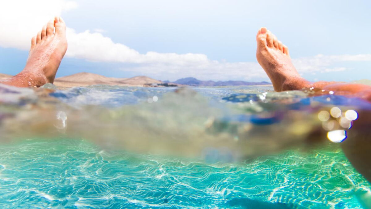 Attention à ce poisson mordeur qui a fait plusieurs victimes en ...