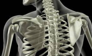 Degenerative Diskopathie: Definition, Symptome, Therapie und Behandlung ...