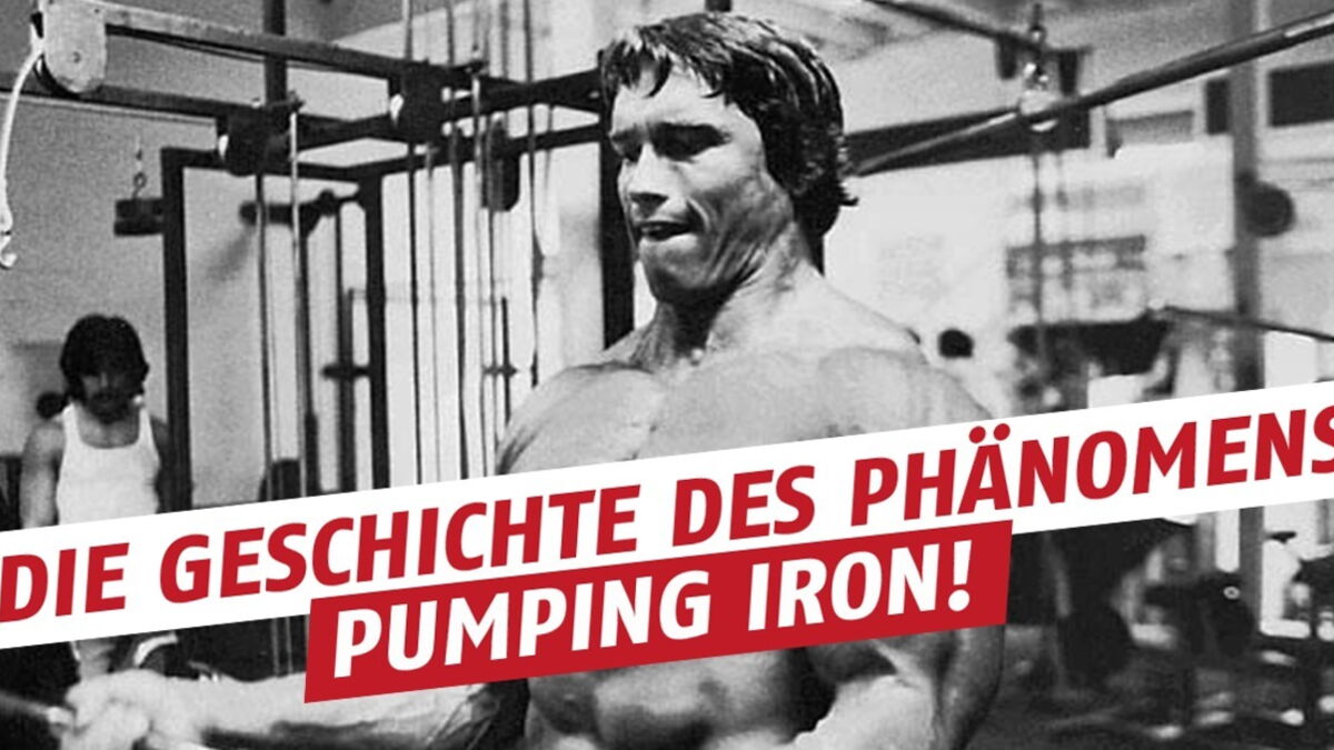 Arnold Schwarzenegger: Entdeckt hier die Geschichte des phänomenalen ...