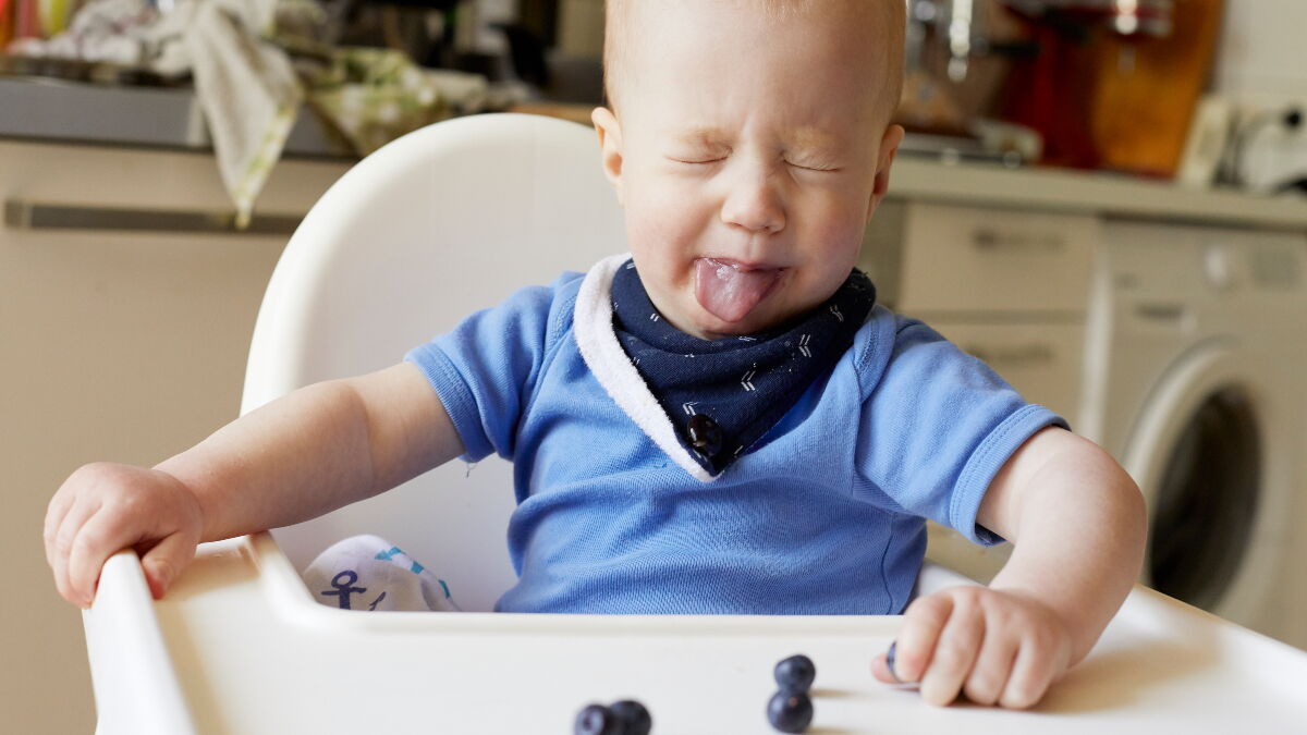 Geschmackssinn: So funktioniert die Übertragung von der Zunge zum Gehirn!