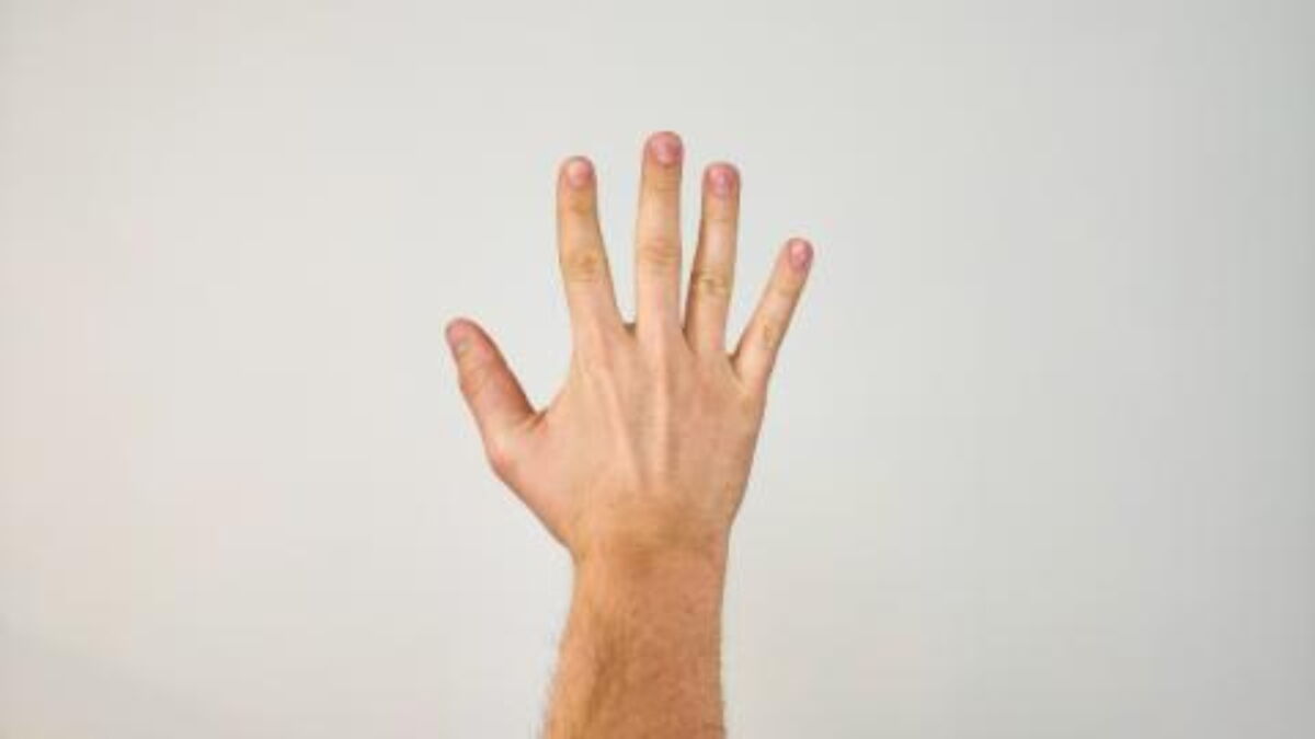 Länge der Finger hängt mit der Wahrscheinlichkeit von Prostata-Krebs ...