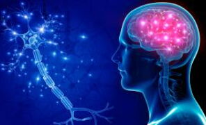 Angiom: Definition, Therapie und Behandlung, wie lässt es sich ...