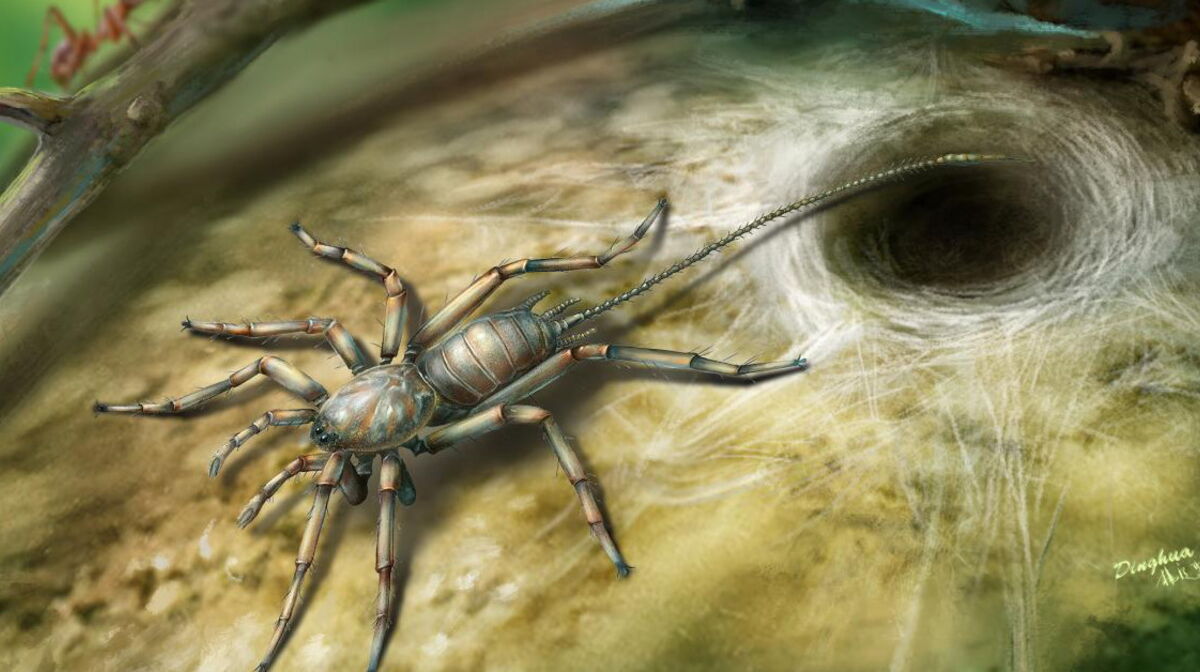 Les 9 actus sciences que vous devez connaître ce matin