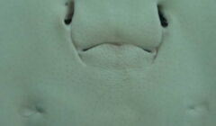 Record : voici le plus grand caca humain de l'histoire