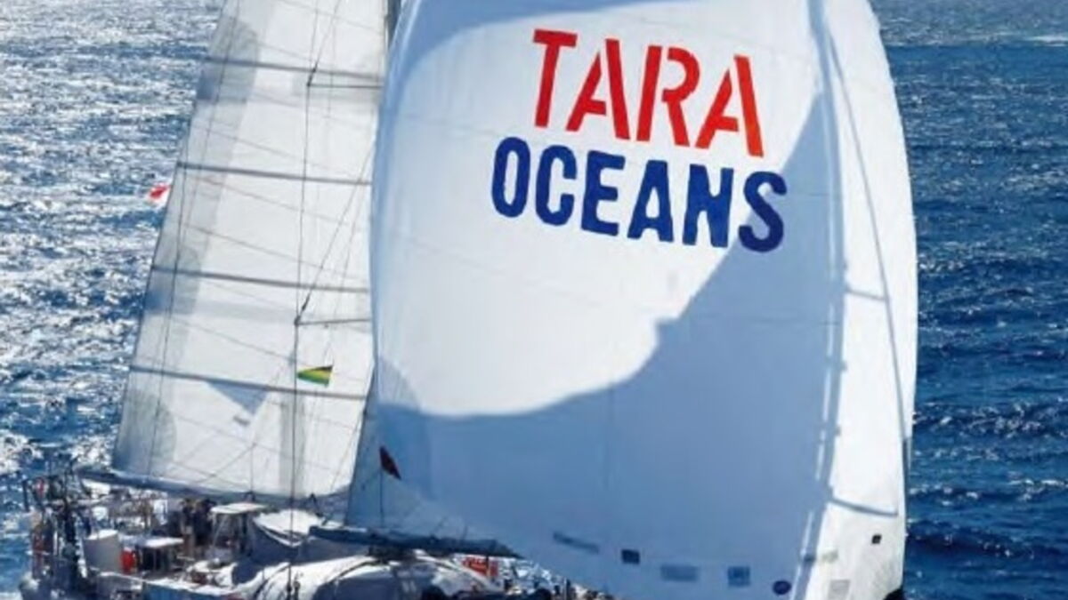 L'expédition Tara Océans ce soir sur Planète Thalassa