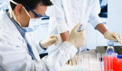 La Création d’Adam : que symbolise cette fresque emblématique de l’art ...