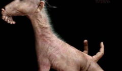 Baba Yaga : qui est cette créature surnaturelle du folklore slave