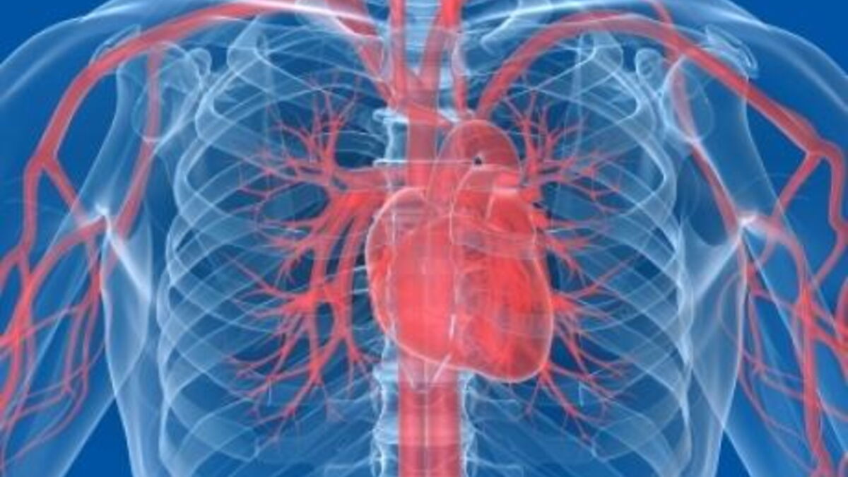 En vidéo : une machine pour faire battre le coeur artificiellement