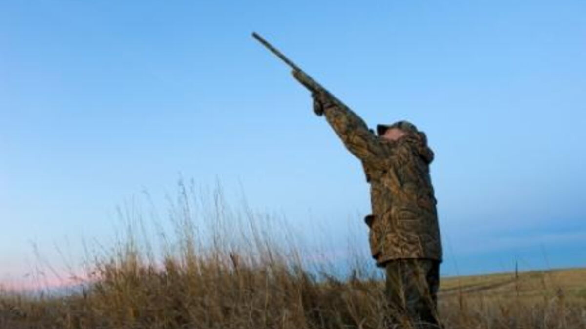 Le guide interprétatif pour une chasse durable vole au secours des ...