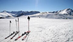 Le Dahu : tout savoir sur l'animal mythique du folklore français