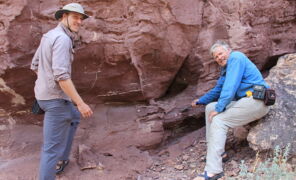 Record : voici le plus grand caca humain de l'histoire