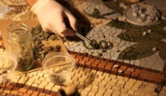 Record : voici le plus grand caca humain de l'histoire