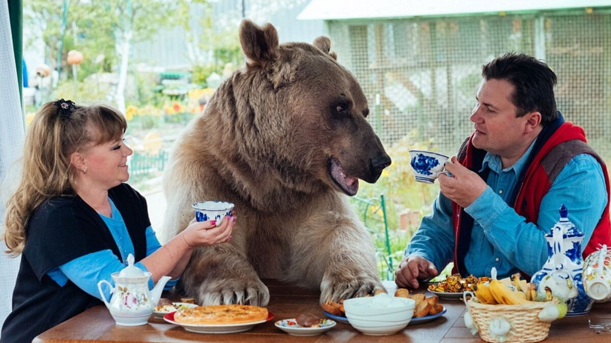 Ce couple russe vit depuis plus de 20 ans avec l'ours qu'ils ont sauvé