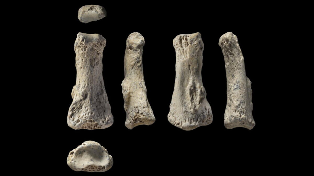 Un os de doigt découvert en Arabie Saoudite réécrit une partie de l ...