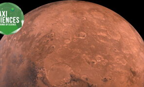 Bloody Mary : quelle est l’histoire de la légende de Marie la Sanglante