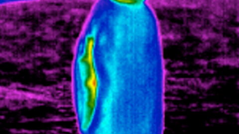 Voici l’endroit le plus froid de l’Univers