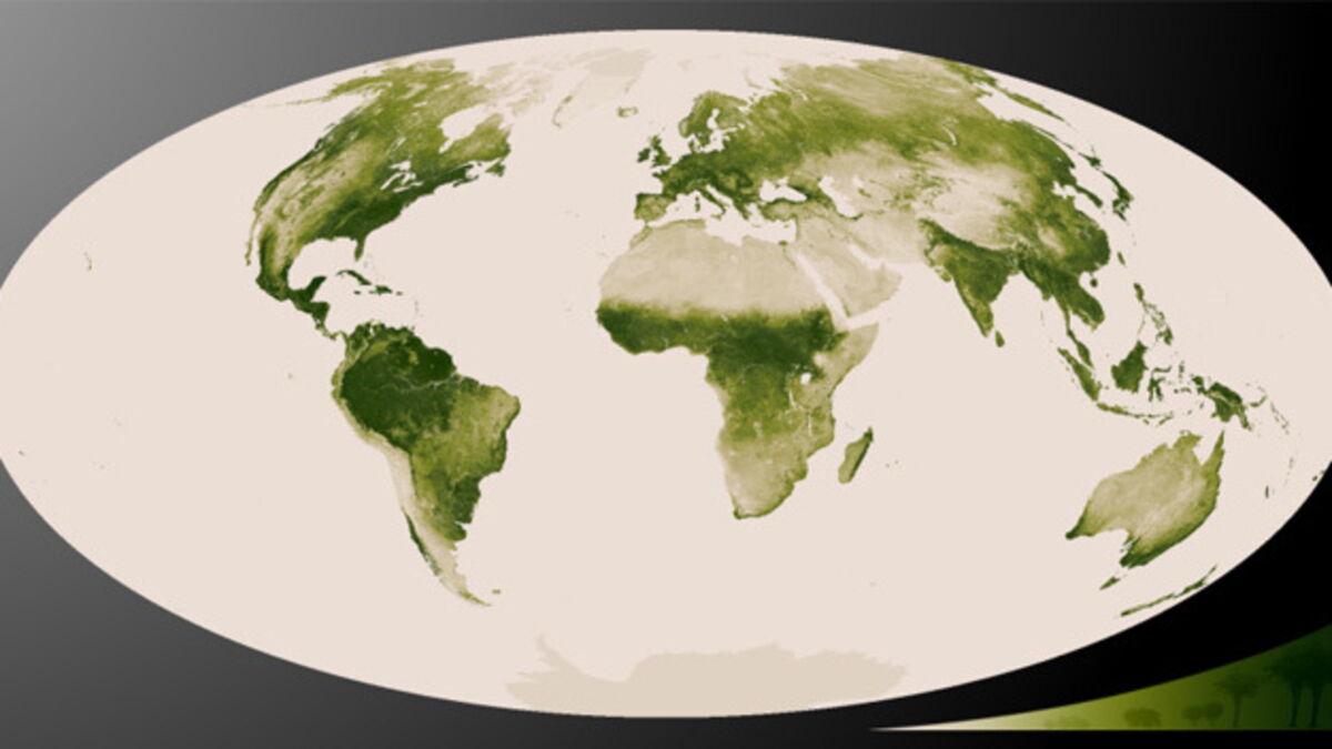 La "Terre verte", une carte dévoile la répartition de la végétation ...