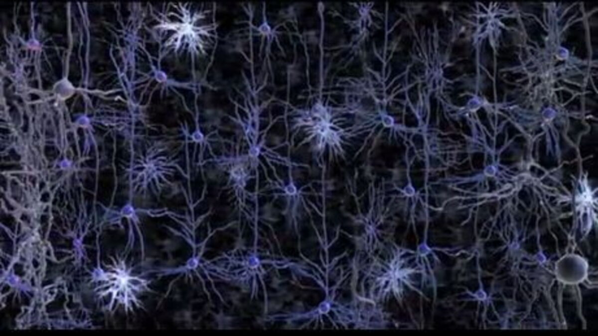 Neurone : une nouvelle technique 3D pour visualiser l'activité nerveuse ...