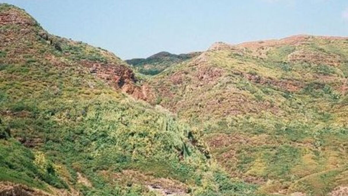 Une nouvelle expédition lancée en Polynésie pour percer les secrets de ...