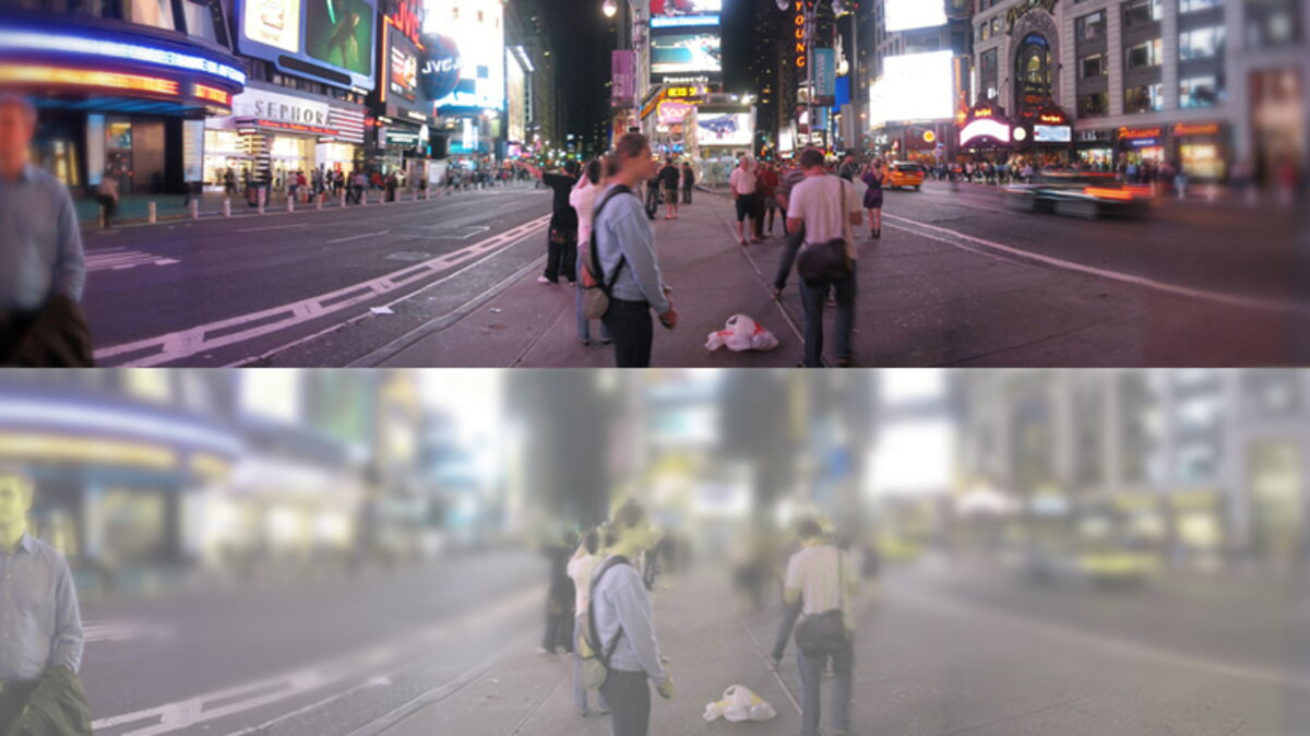 Vision animale : contemplez le monde à travers l'oeil d'un chat