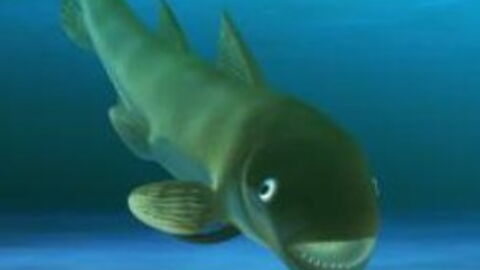 Une nouvelle espèce de requin vieille de 356 millions d'années ...