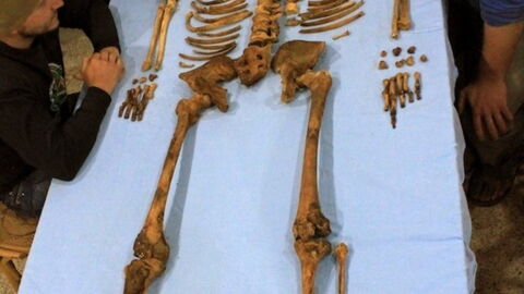Une momie de crâne de lézard trouvée dans un cercueil égyptien de 2500 ans