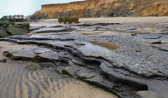 Record : voici le plus grand caca humain de l'histoire