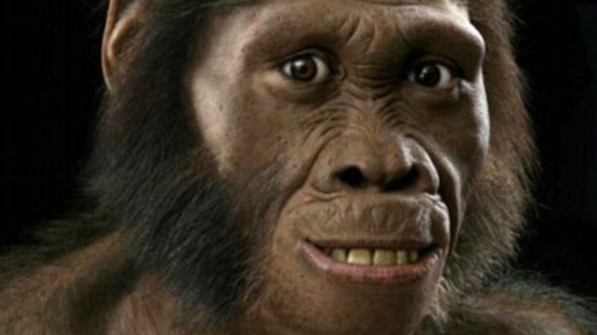 Comment l'Homme est-il devenu bipède ? Une étude relance le débat