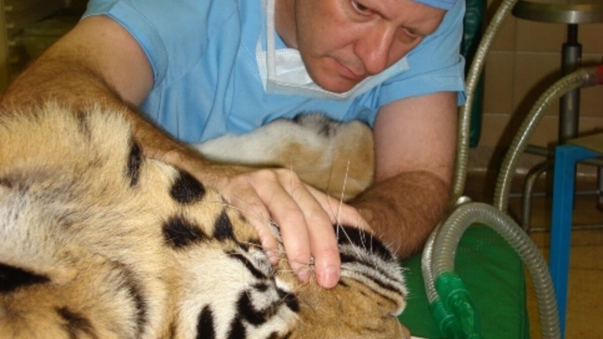 Gerhard Steenkamp, le dentiste qui parcourt le monde pour soigner les ...