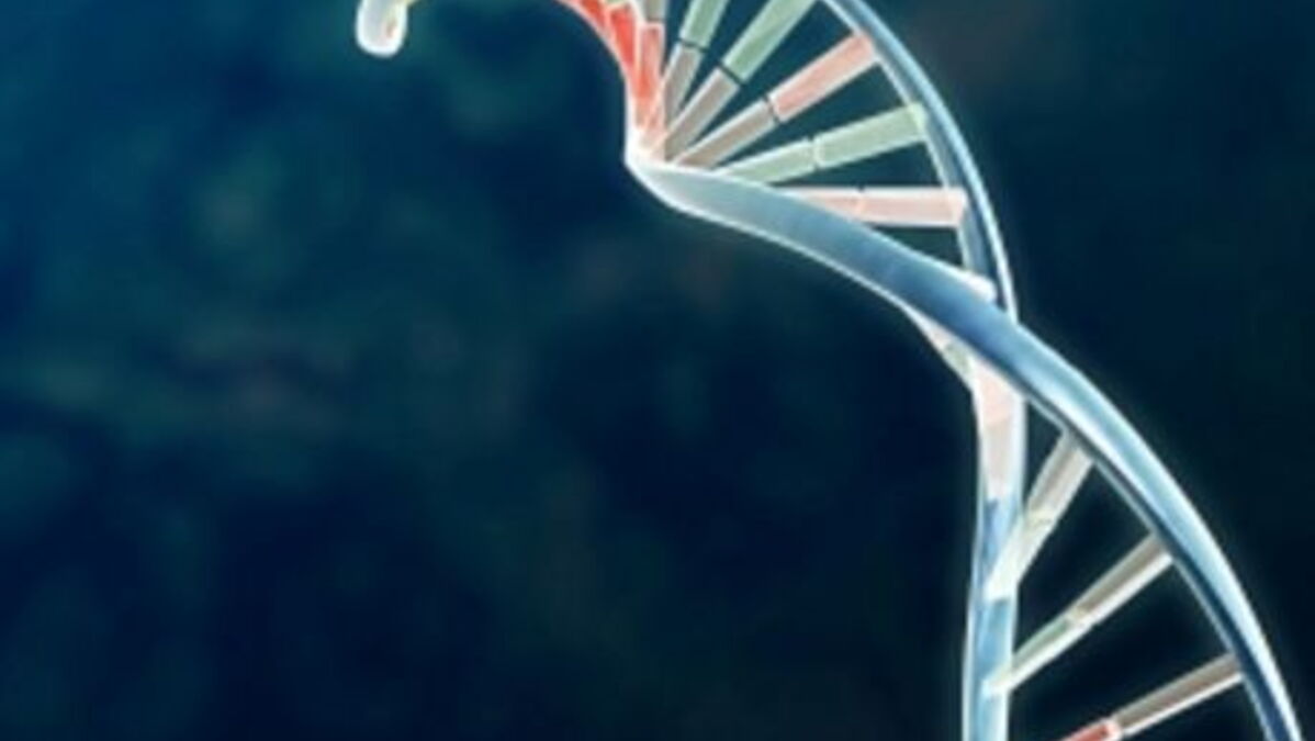 L’humain a survécu grâce à une mutation génétique