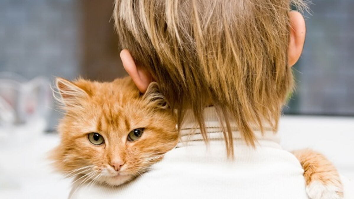 Les animaux reconnus comme "doués de sensibilité", une révolution ? Pas ...