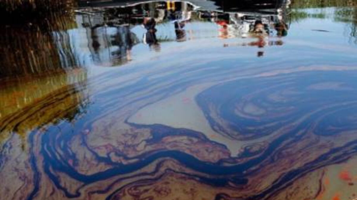 Marée noire : 55 kilomètres de marais et de plages souillés par le pétrole