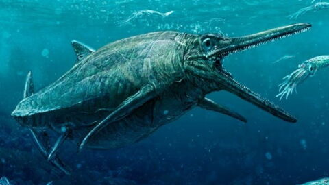 Le kraken, monstre marin légendaire, aurait-il vraiment existé