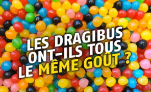 Les Dragibus ont-ils tous le même goût