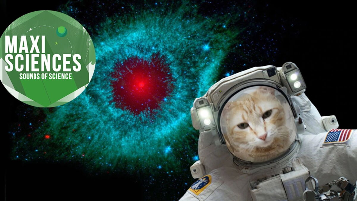 Crocodile, trolls et virus, les 8 actus sciences que vous devez ...