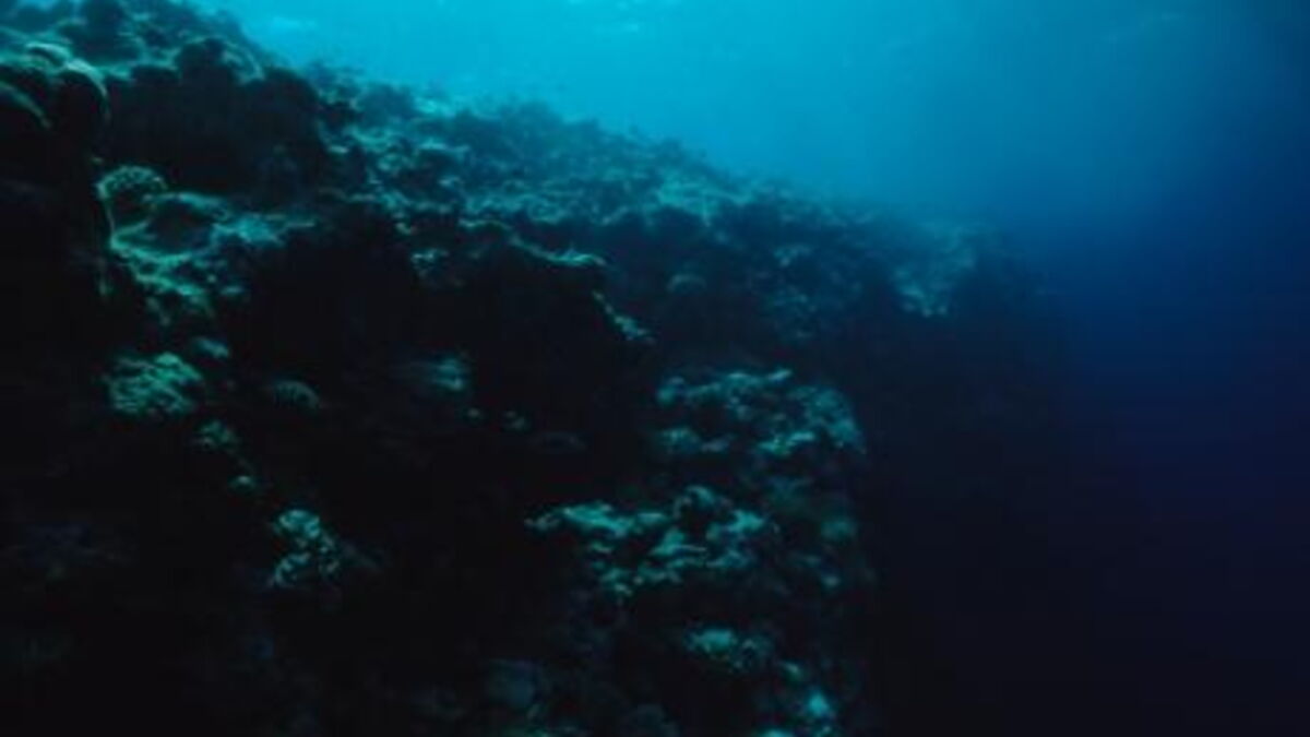 Un robot sous-marin plonge au plus profond de l’océan, découvrez les images